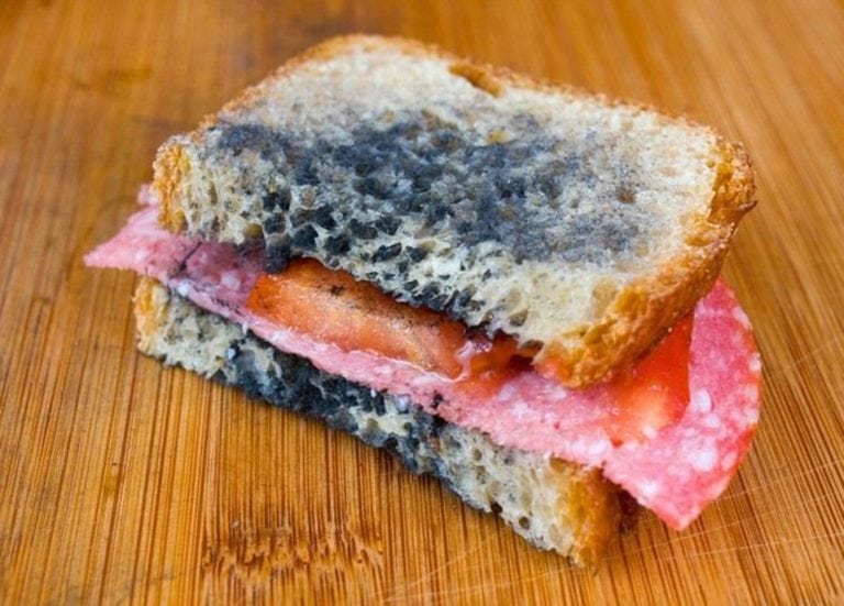 Why Your Job Search Is Like a Mouldy Ready Meal! • JS3